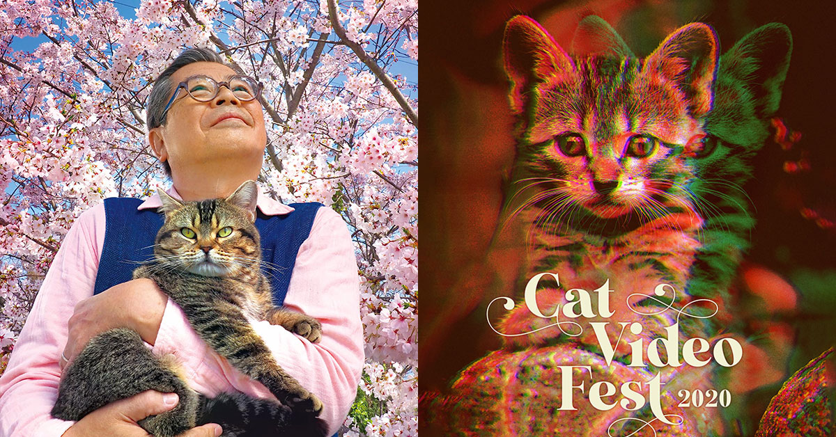 CAT VIDEO FEST 2020 - North Park Theatre